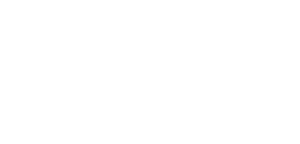 EC-Council CEH - Certified Ethical Hacker | CECyber