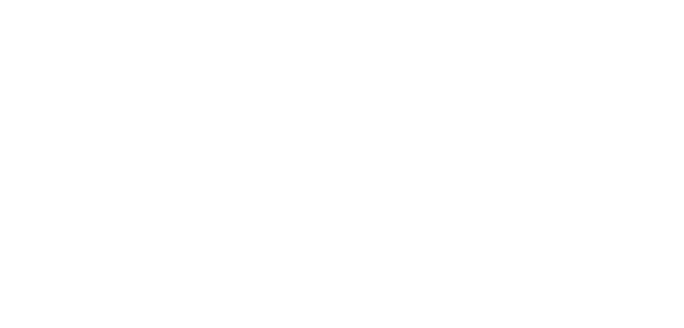EC-Council CEH - Certified Ethical Hacker | CECyber